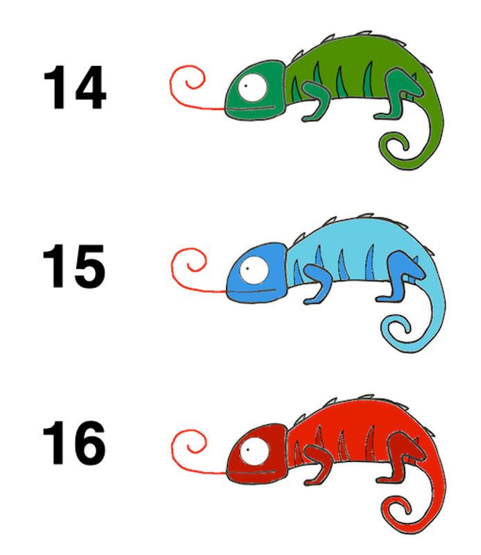 Chapter 2: Zora – TOM ROCKS MATHS