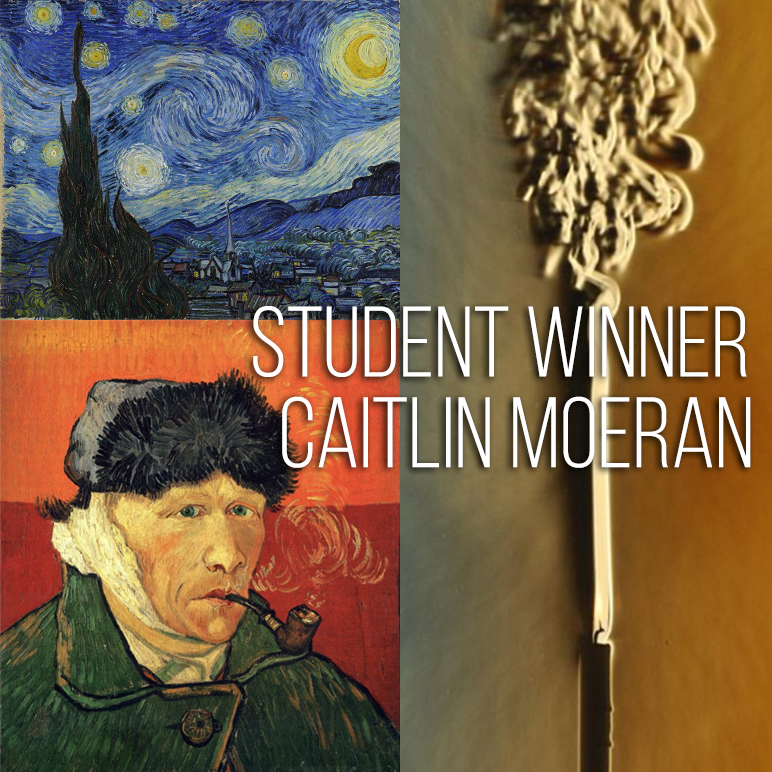 The Unreasonable Effectiveness of Mathematics in Art – TOM ROCKS MATHS