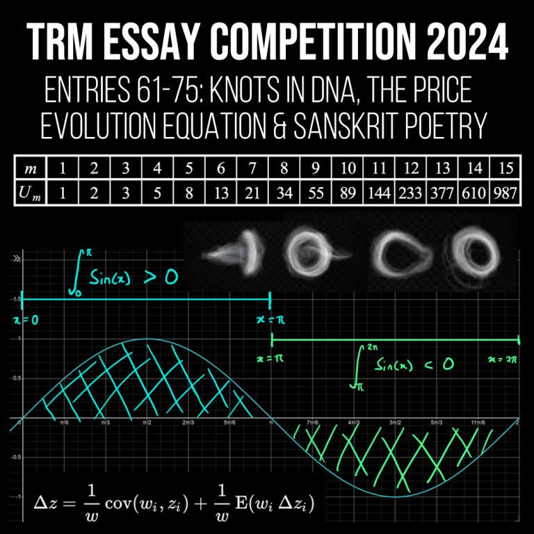 Tom Rocks Maths Essay Competition – TOM ROCKS MATHS